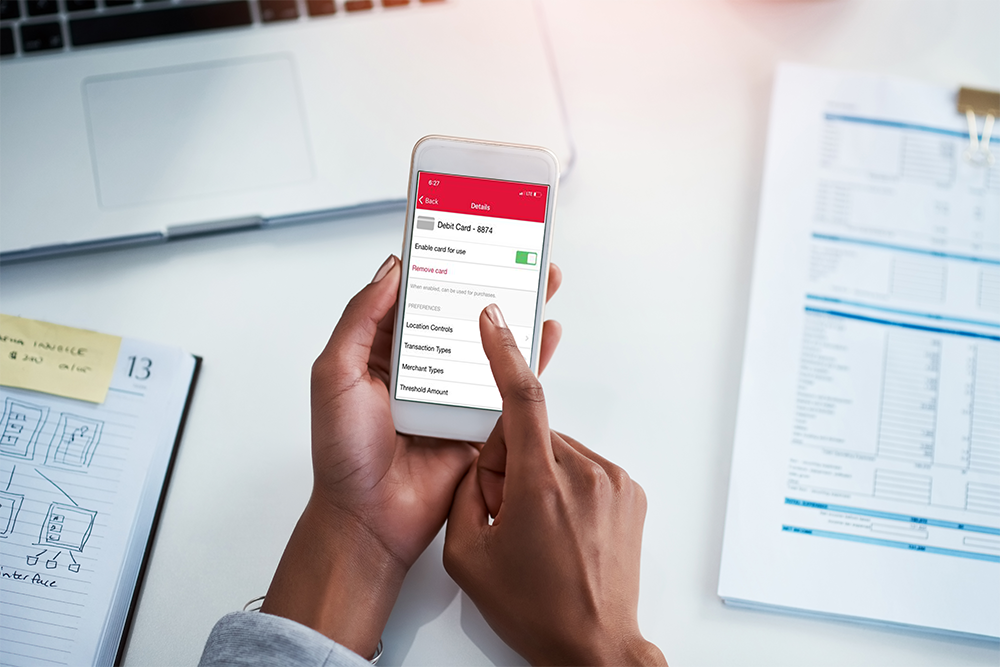 Card Controls | Digital Banking |Ameris Bank